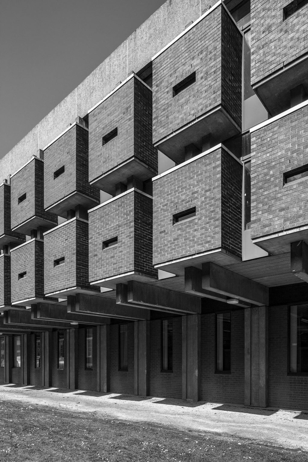 Sydney Jones Library - Simon Phipps